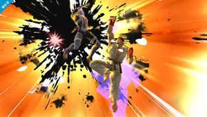 Shin Shoryuken / Shinku Hadoken - SmashWiki, the Super Smash Bros. wiki