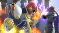 Category:Screenshots (SSBU) - SmashWiki, the Super Smash Bros. wiki