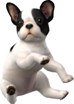 Nintendog - SmashWiki, the Super Smash Bros. wiki