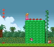 Grass (item) - SmashWiki, the Super Smash Bros. wiki