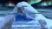 Ice Climber (universe) - SmashWiki, the Super Smash Bros. wiki