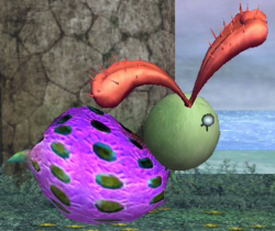 Bucculus - SmashWiki, the Super Smash Bros. wiki