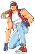 Terry (SSBU) - SmashWiki, the Super Smash Bros. wiki